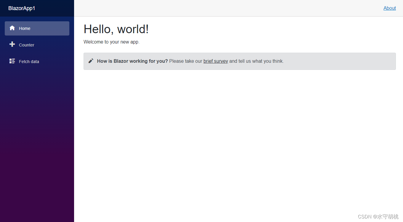 Blazor新项目报错：“Cannot find the fallback endpoint specified by route values: { page: /_Host, area ...