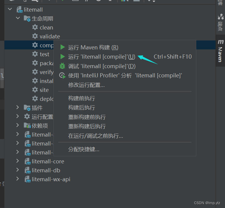 记录第一个我自己部署的开源项目--litemall商城-CSDN博客