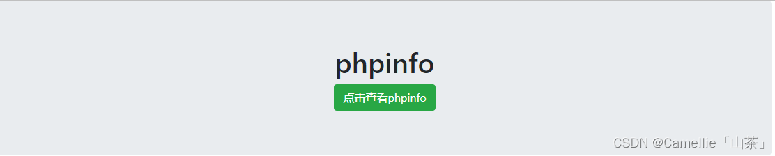 CTF基础知识及web_ctf web-CSDN博客