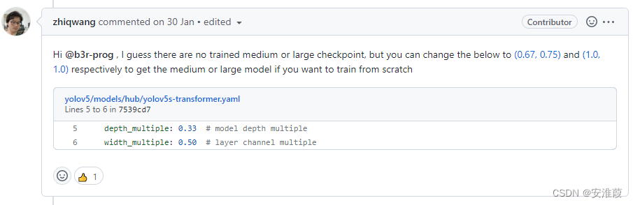 YoloV5 transformer GitHub Issue涉及问题_c3tr nan-CSDN博客