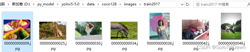 coco、....3D图像分割-CSDN博客