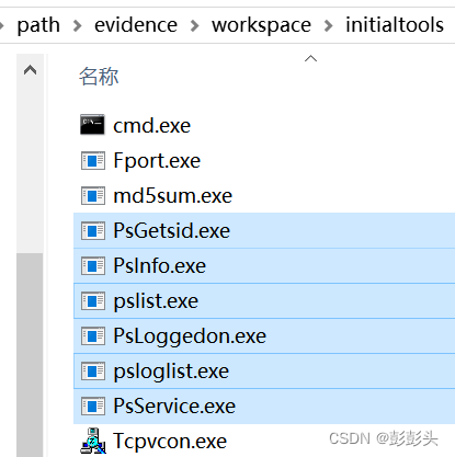 （五）计算机取证-制作初始响应工具包_取证工具psservice-CSDN博客