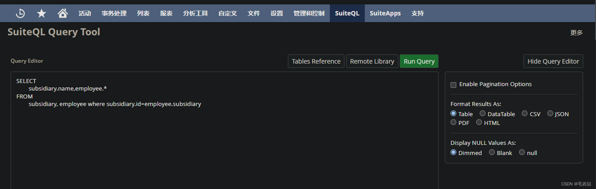 NetSuite SuiteQL Query Tool-CSDN博客