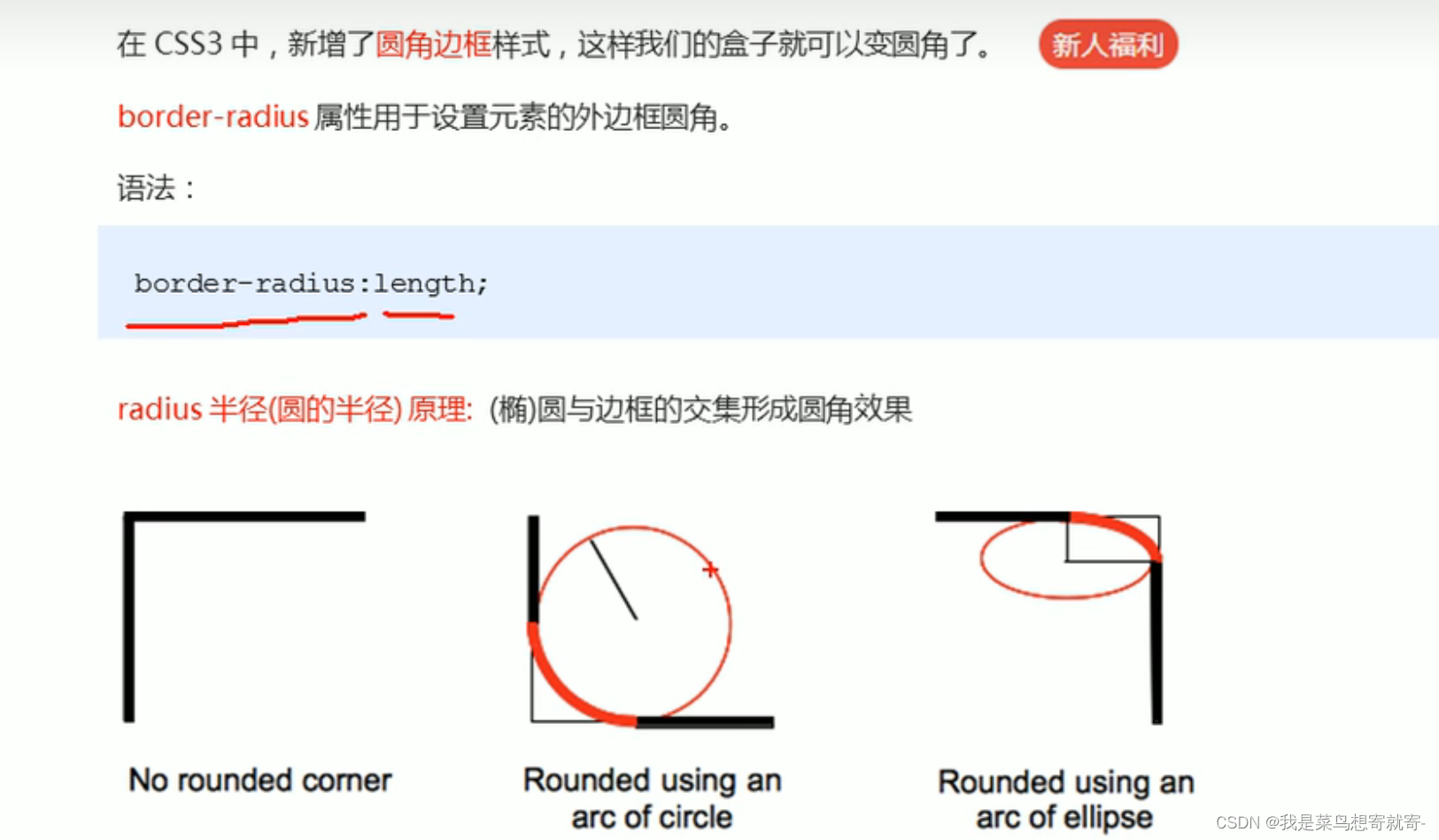 Css 装饰css装饰 Csdn博客 