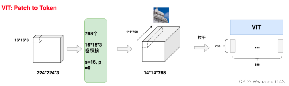 VIT~~6_vit模型的输入可以是文本吗-CSDN博客