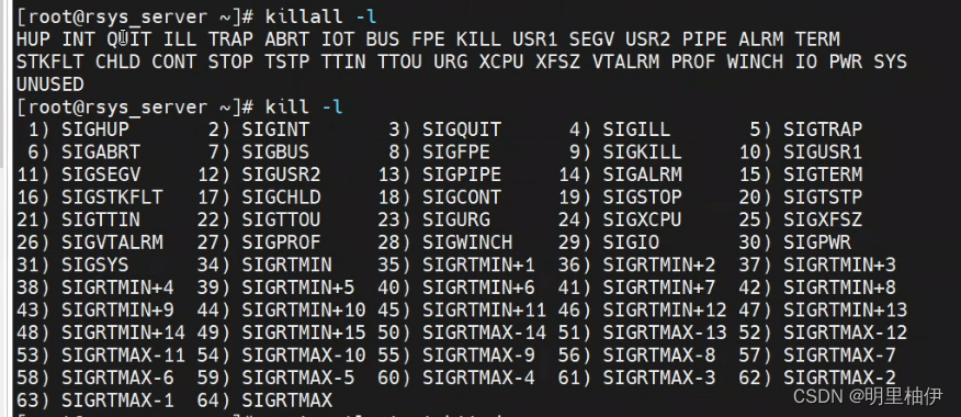 【Linux】进程管理命令（ps， lsof ，kill pkill killall，vmstat）_linux进程管理命令-CSDN博客