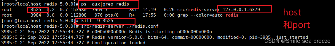 如何查看Redis的host和port_redis的host怎么看-CSDN博客
