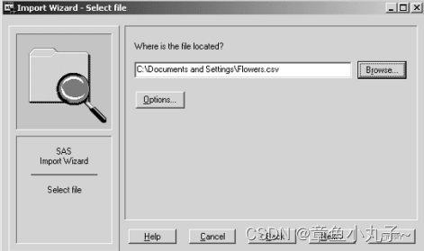 第二章 将数据放入SAS_sas导入数据集-CSDN博客