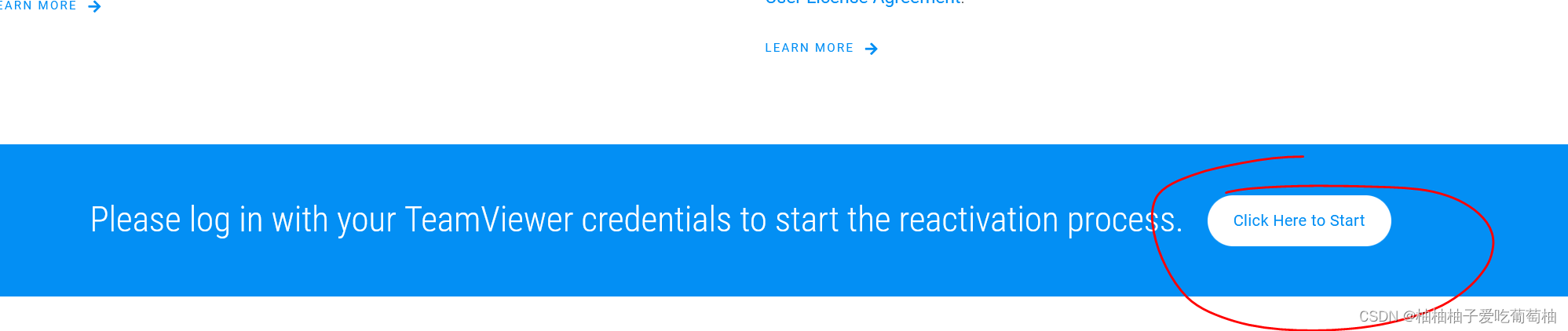 申诉解决TeamViewer免费个人版被误判为商业使用，重新激活ID_teamviewer申诉-CSDN博客