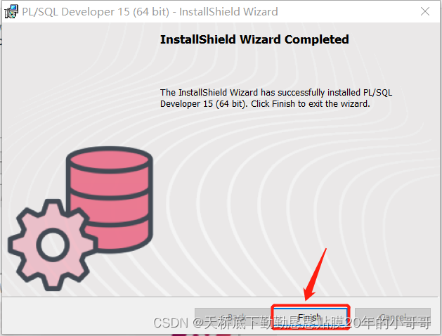 Oracle19c数据库安装教程【Windows版】_oracle19c安装教程windows-CSDN博客