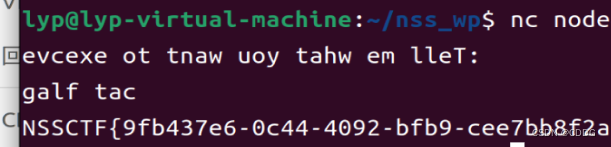 nss_pwn部分题解_[watevrctf 2019]voting machine 2-CSDN博客