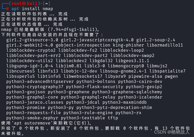 Nmap之集齐安装，使用和功能的超详细的图文教程！！！nmap使用教程图解 Csdn博客