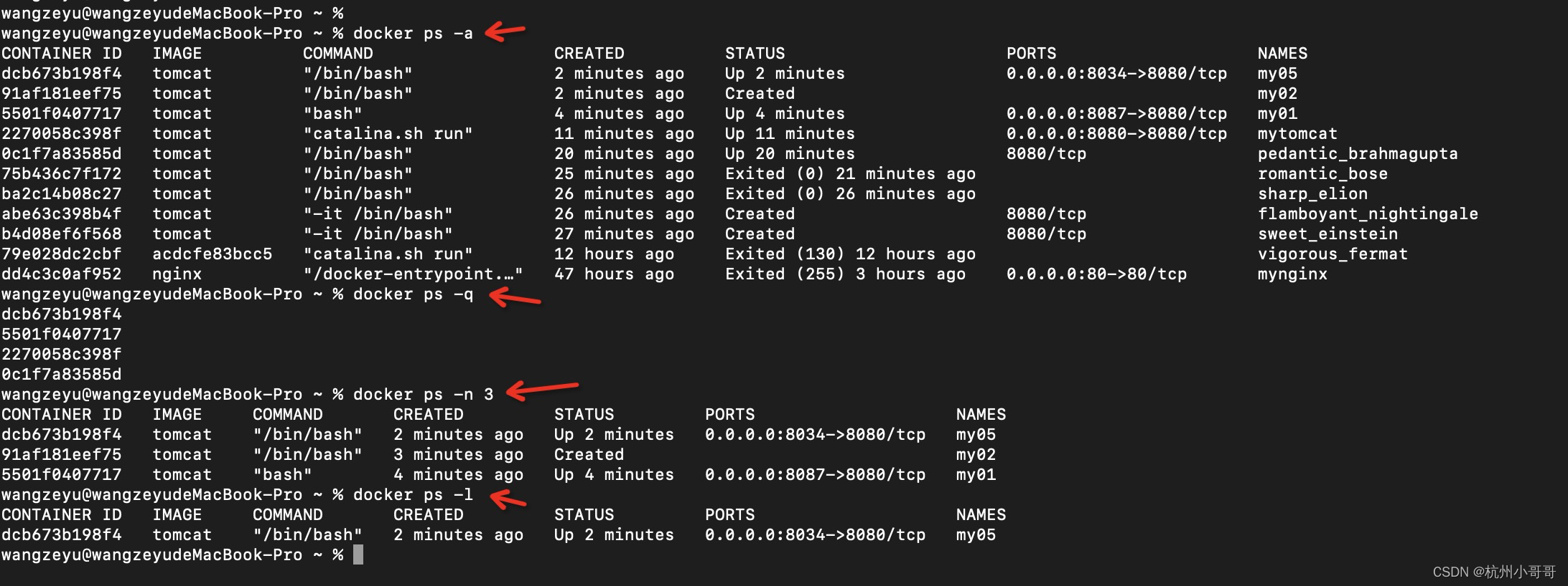 docker ps [options]使用-CSDN博客