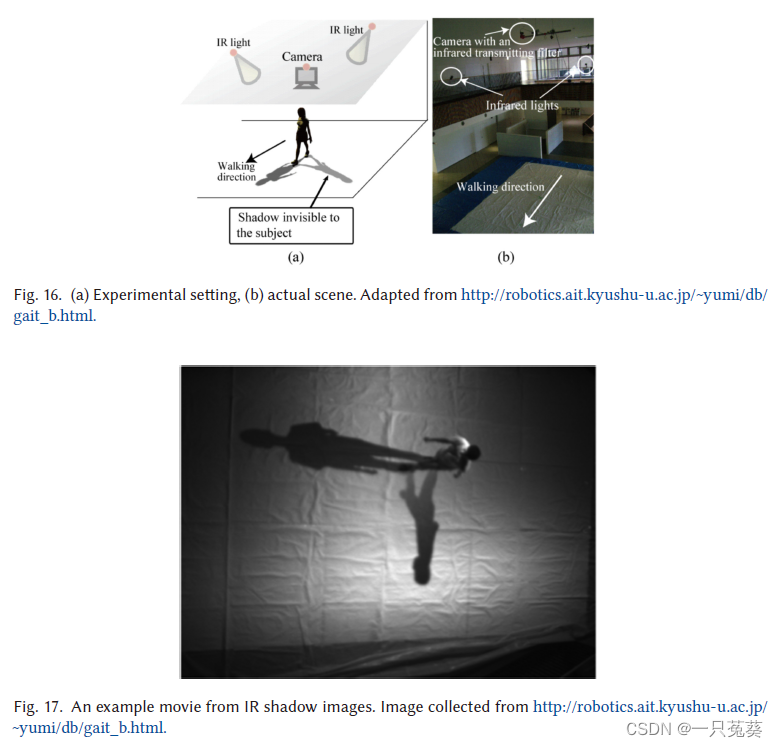 【论文笔记】基于深度学习的步态识别综述《Gait Recognition Based on Deep Learning: A Survey》_步态识别 综述-CSDN博客