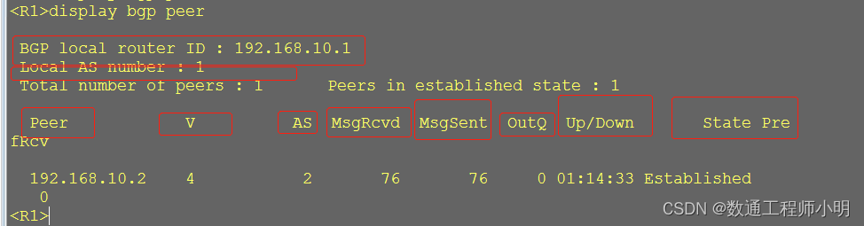 BGP基础详解（HCIP）-CSDN博客