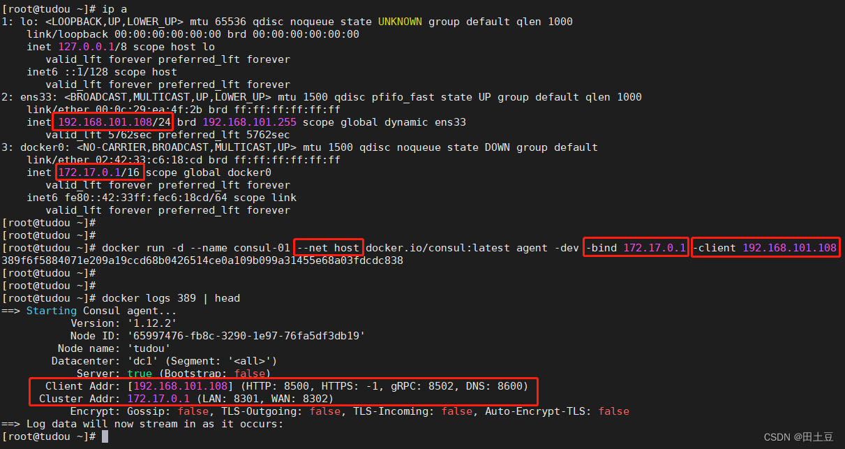 【微服务| Consul】使用docker搭建consul集群_docker pull consul-CSDN博客