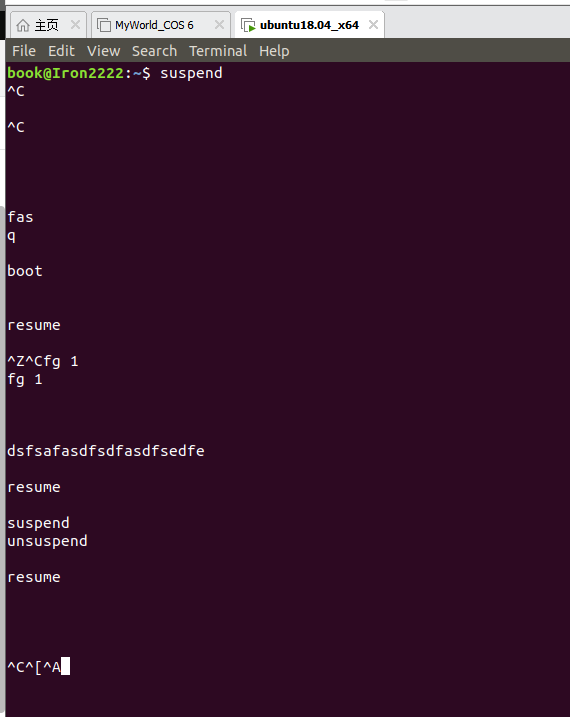 人傻了，在Linux终端中suspend了一下。_远程linux被点击了 suspend怎么办?-CSDN博客