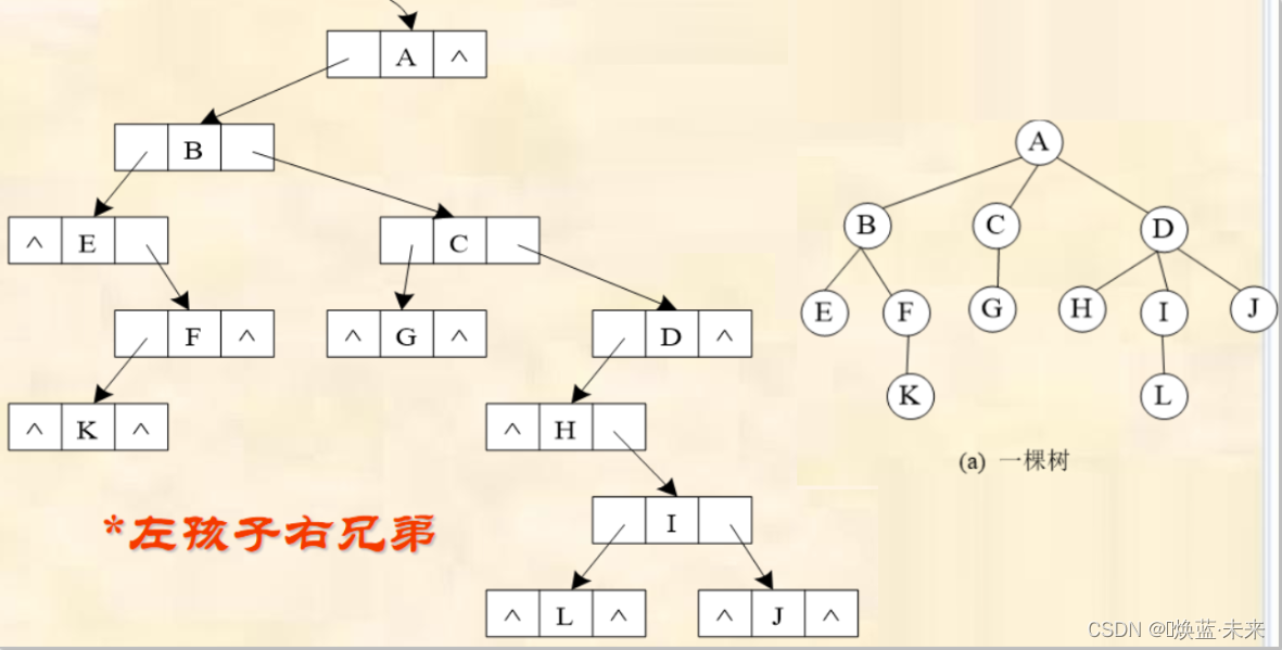数据结构与算法——树与二叉树篇详解 Csdn博客
