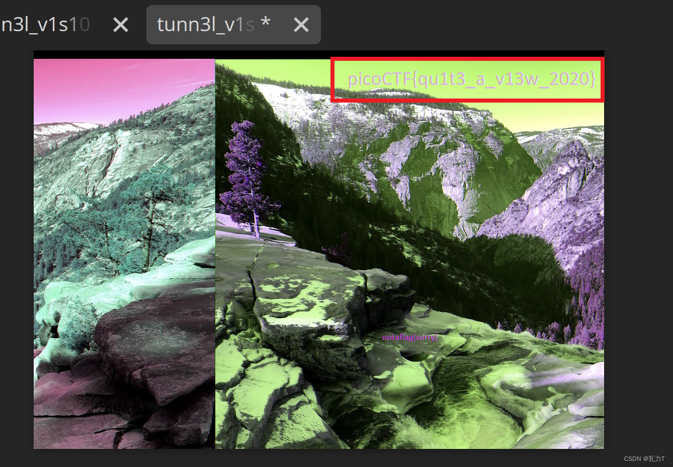 picoCTF，Forensics，取证类，43/50_picoctf trivial flag transfer protocol-CSDN博客