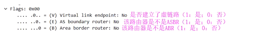 【ospf路由计算（一类LSA-router、二类LSA-Network、三类LSA-sum-Net）】-20211228-30-CSDN博客