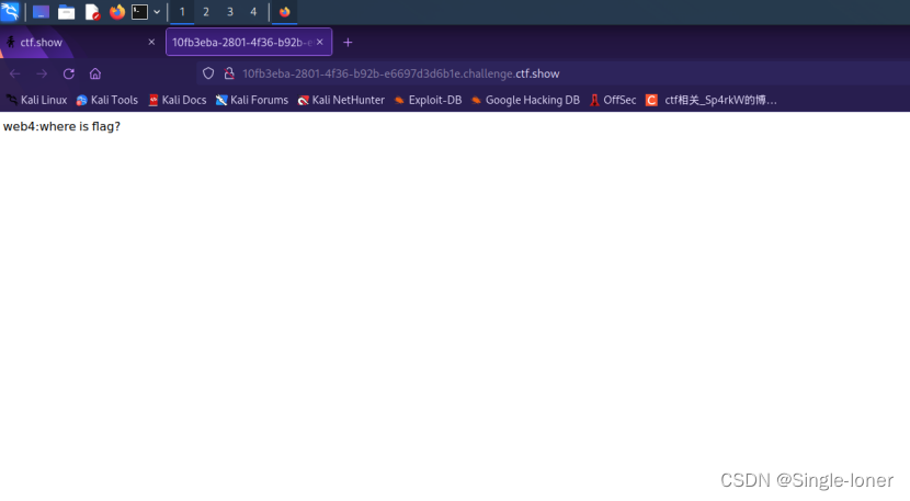 web4(robots协议)_什么是web4-CSDN博客