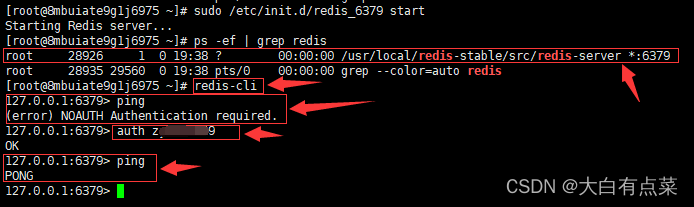 写最好的最新稳定版Redis7（redis-7.0.5）在云服务器Centos7安装部署教程（参考官方文档）_redis哪个版本稳定-CSDN博客