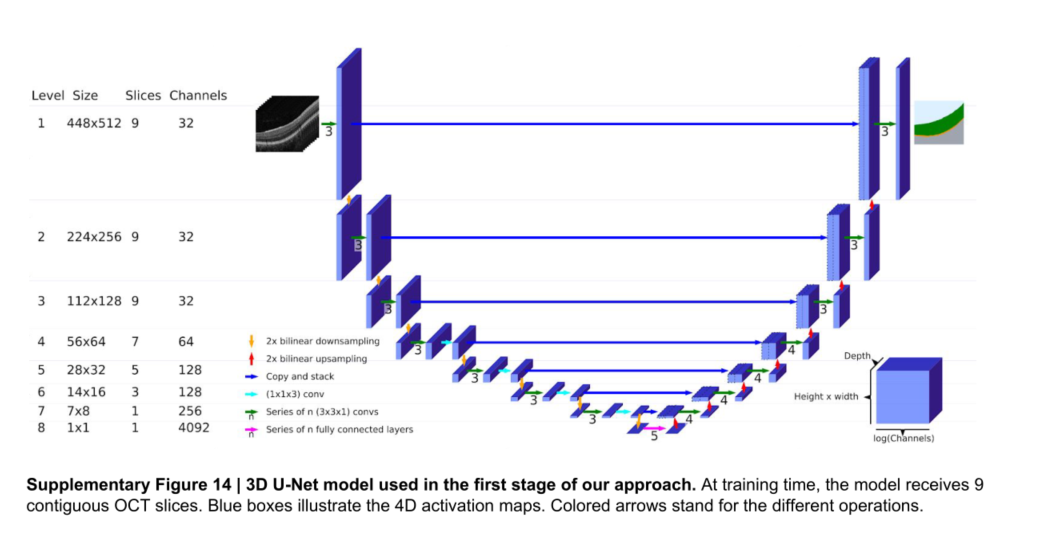 私密 糖网 3D-Unet知识点记录_3d unet-CSDN博客