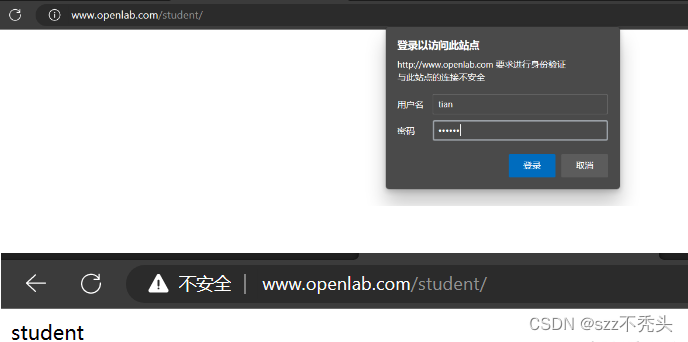 网络服务（3）请给openlab搭建web网站_openlab server-CSDN博客