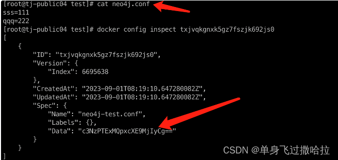 Docker Config与Docker Secret的区别_docker config 加密-CSDN博客