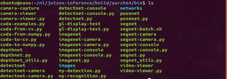 在Jetson Nano上十行代码实现目标检测（jetson_inference）_jetson inference-CSDN博客