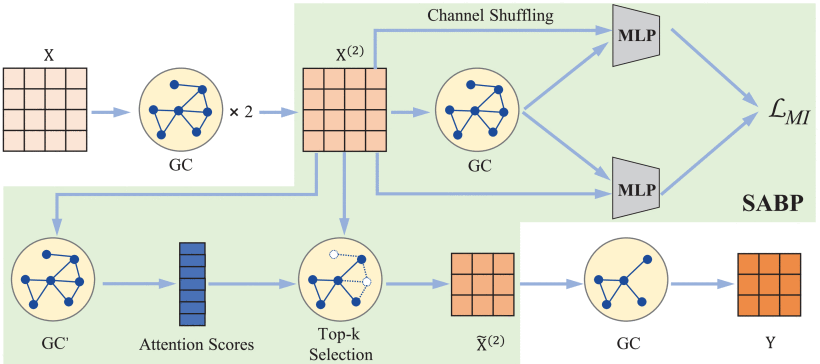 [论文精读]Classification of Brain Disorders in rs-fMRI via Local-to-Global Graph Neural Networks_lg ...