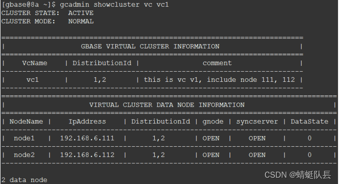 GBase 8a MPP Cluster查看虚拟集群_查看gbase集群节点-CSDN博客