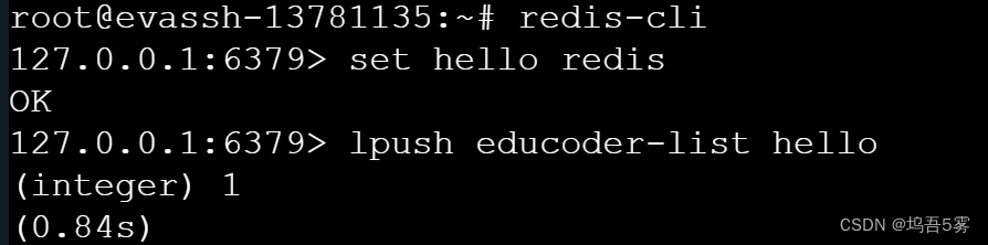 分布式数据库NoSQL(十)——初识Redis_redis中的数据结构第一关-CSDN博客
