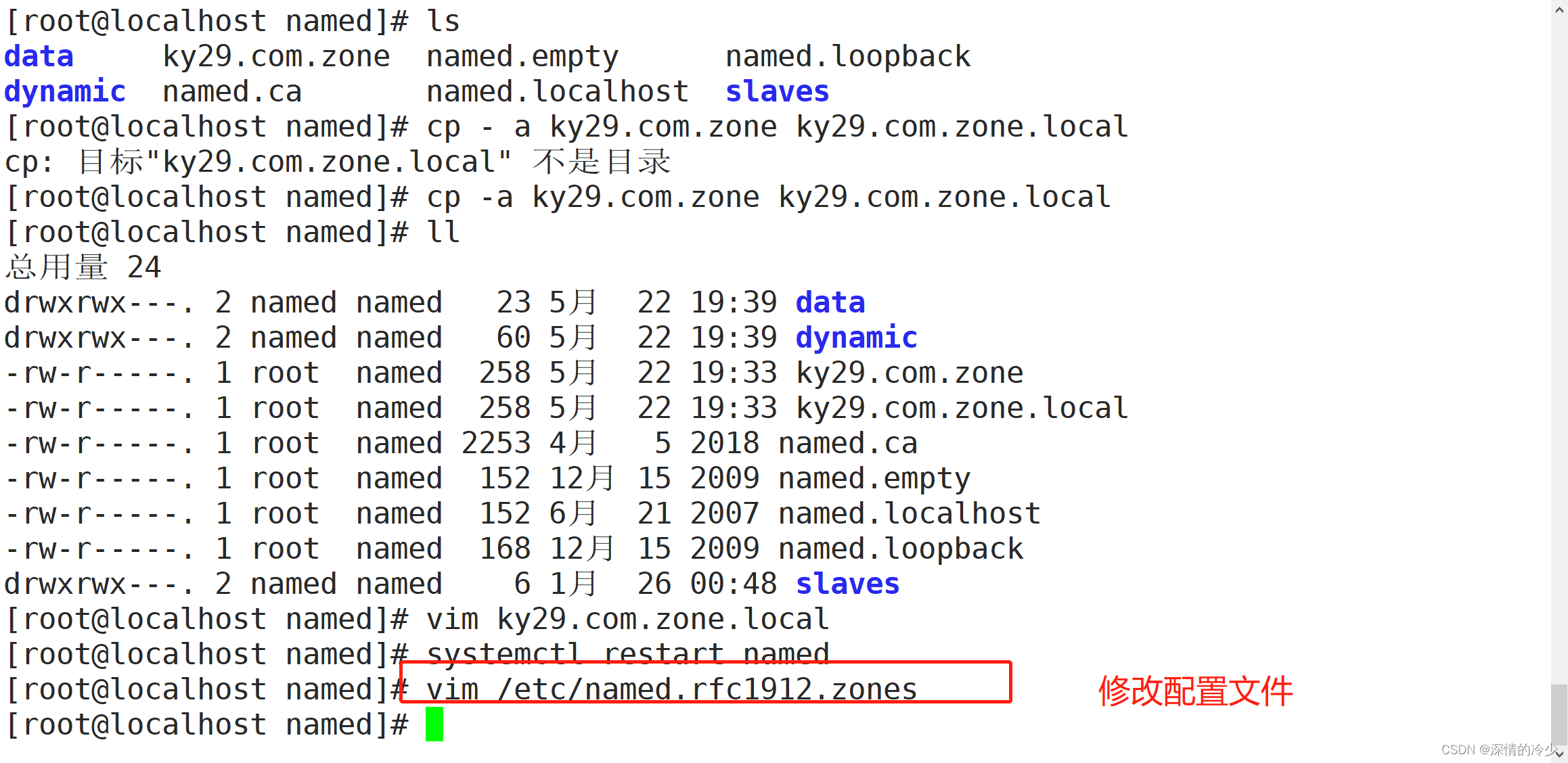 Linux网络dns域名解析linux Dns解析 Csdn博客