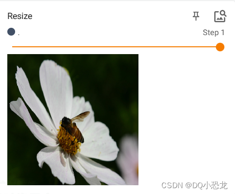 Torchvision(transform)_torchvision transform-CSDN博客
