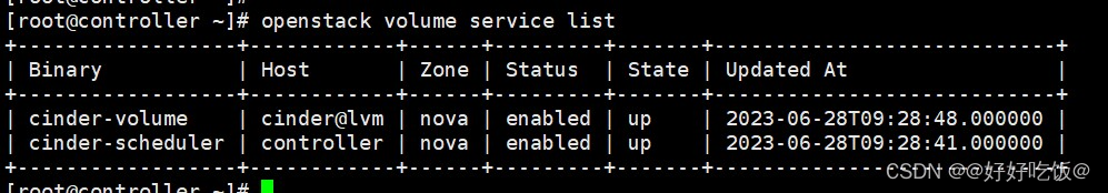 查看openstack vloume service list 报错_openstack volume service list-CSDN博客