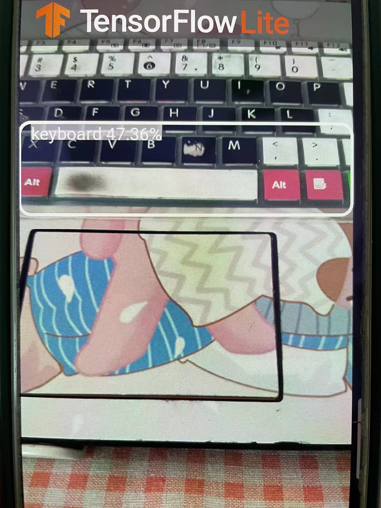 【教程】基于TensorFlow Lite的yolov5部署过程_pt转tflite-CSDN博客