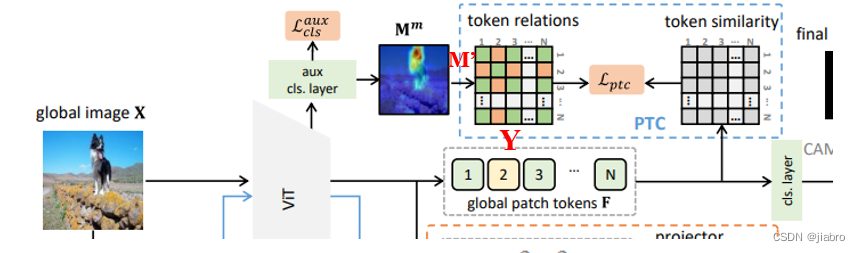 Token Contrast For Weakly Supervised Semantic Segmentation —— Cvpr2023 Csdn博客