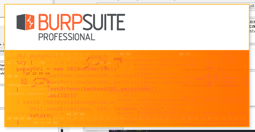 Win10下搭建burpsuite pro，最详细的安装步骤（附Burpsuite pro安装包）_burpsuitepro-CSDN博客