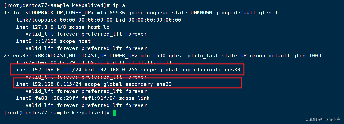 【服务端】高可用Nacos集群（伪集群）Keepalived+Nginx+Nacos+MySQL_nacos nginx 集群-CSDN博客
