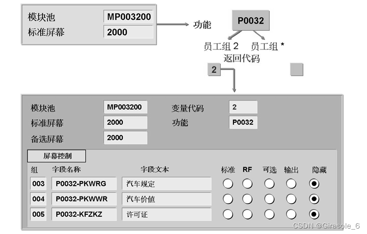 SAP HR:Infotype-信息类型（HR305）_sap hr305-CSDN博客