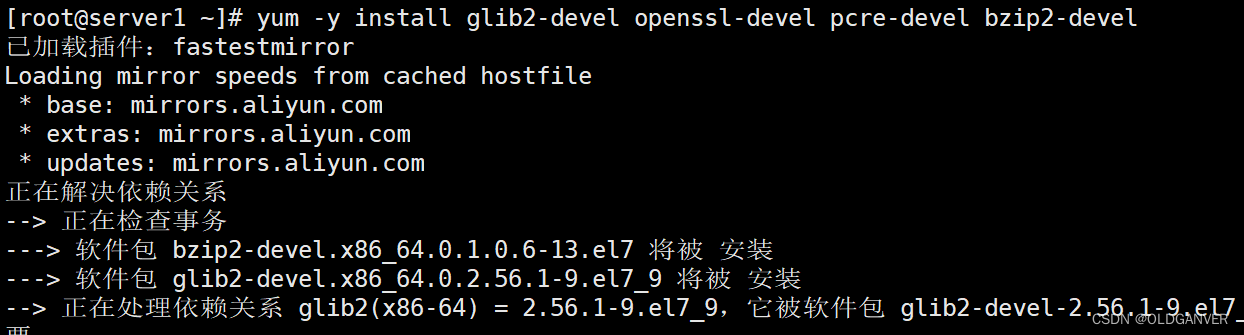 源码安装lighttpd并配置服务启动脚本-CSDN博客