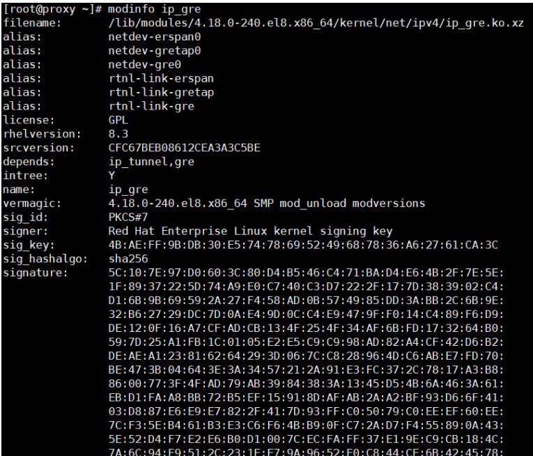 Linux环境下GRE的部署_linux gre 配置-CSDN博客