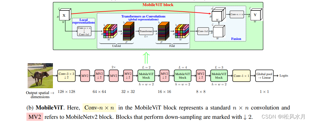 Mobile-ViT (MobileViT)网络讲解-CSDN博客