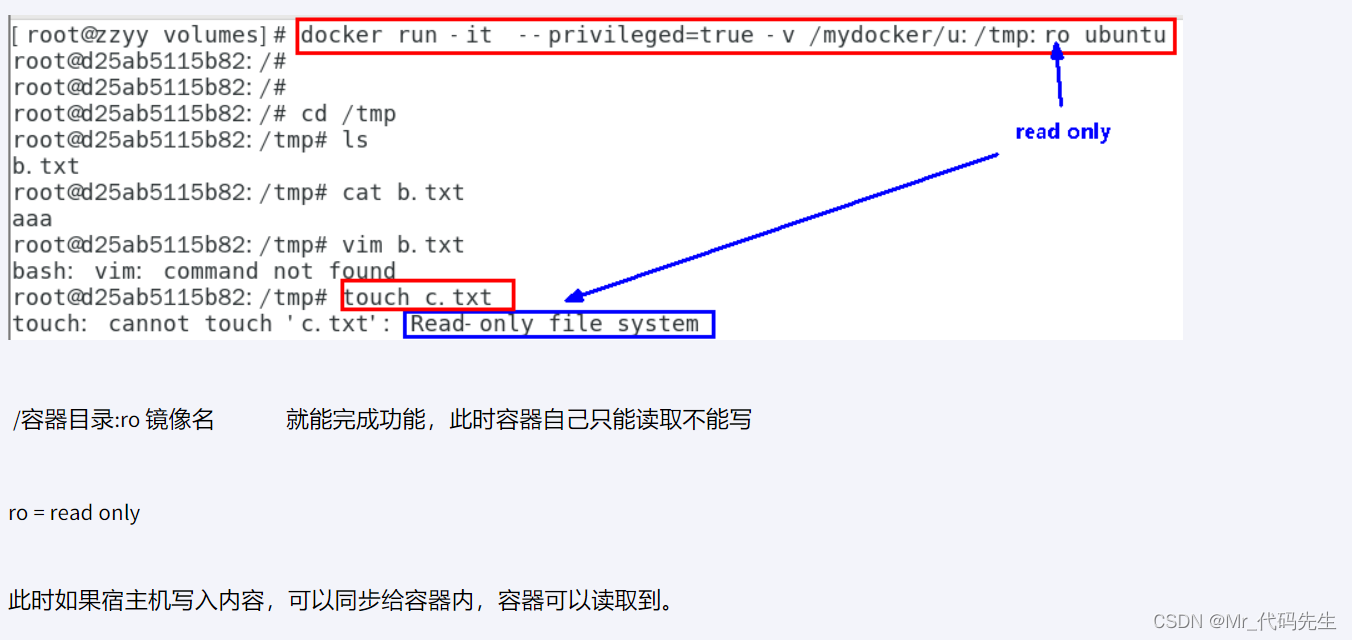 docker - (三)基础篇之容器数据卷、常规软件安装_docker run -it --privileged=true --vloumes-from-CSDN博客