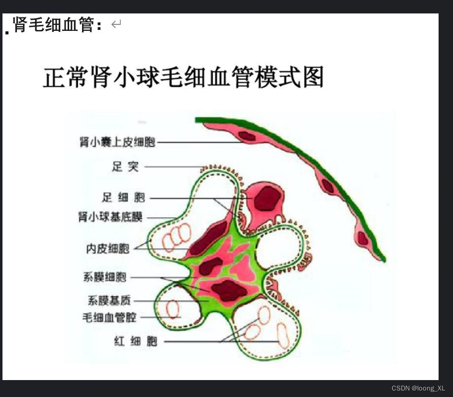 OCR 文字识别easyocr；paddleocr 使用_easyocr和paddleocr_loong_XL的博客-CSDN博客