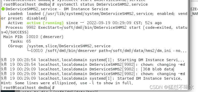 配置DMHS实时同步（DM＞＞DM）_dmhs同步-CSDN博客