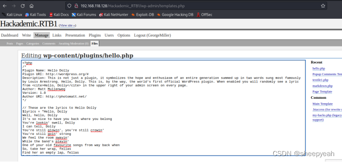 HACKADMIC-RTB1靶场（打靶流程）_hackademic.rtb1-CSDN博客