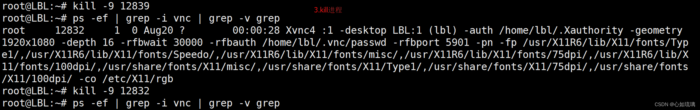 VNC启动出错的处理汇总_vnc启动失败-CSDN博客