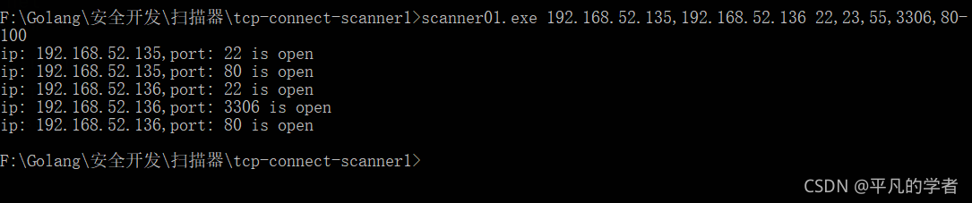 Tcp全连接端口扫描器tcp Port Scanner Csdn博客